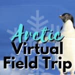 How We Do Natural Homeschooling - Forgetful Momma