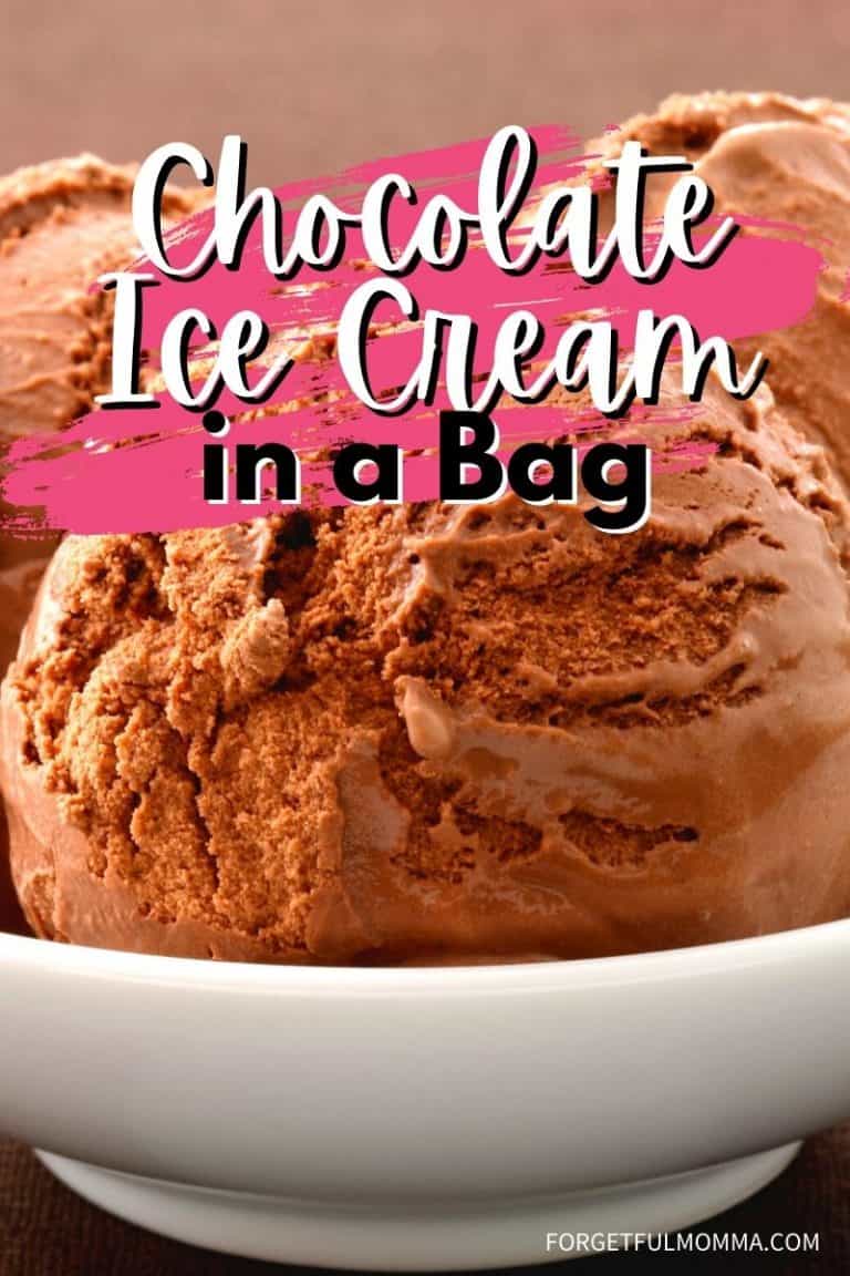 Making Chocolate Ice Cream Recipe in a Bag - Forgetful Momma