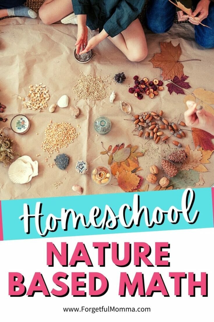 Bringing Nature into Homeschool Math Lessons